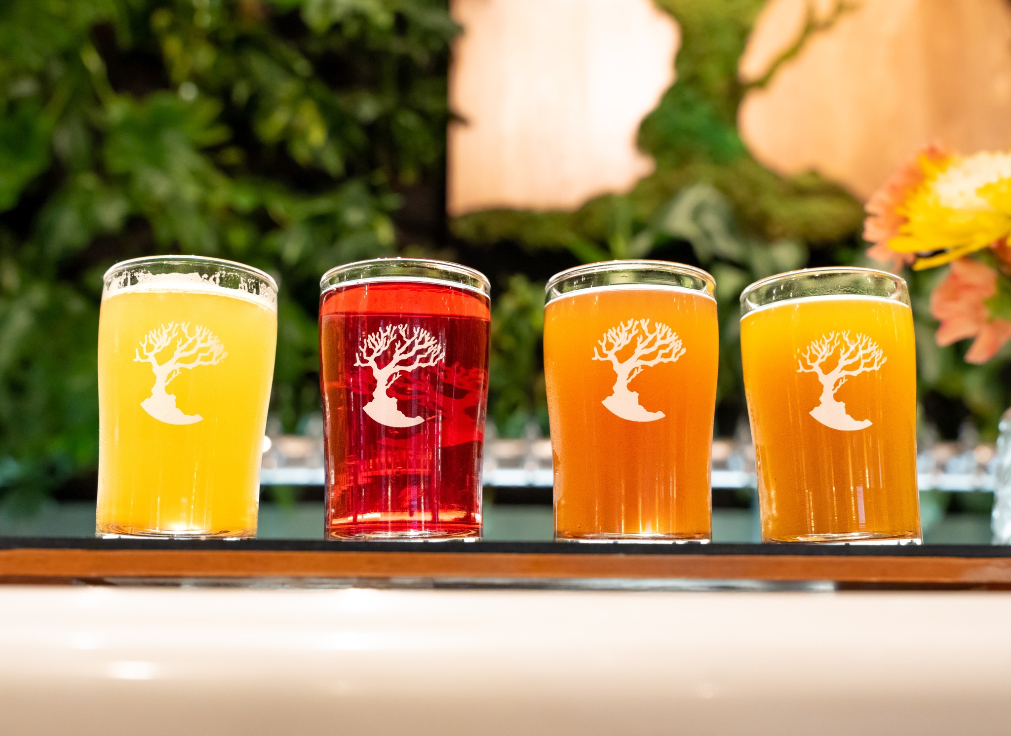 Alcove by MadTree Brewing - Cincinnati