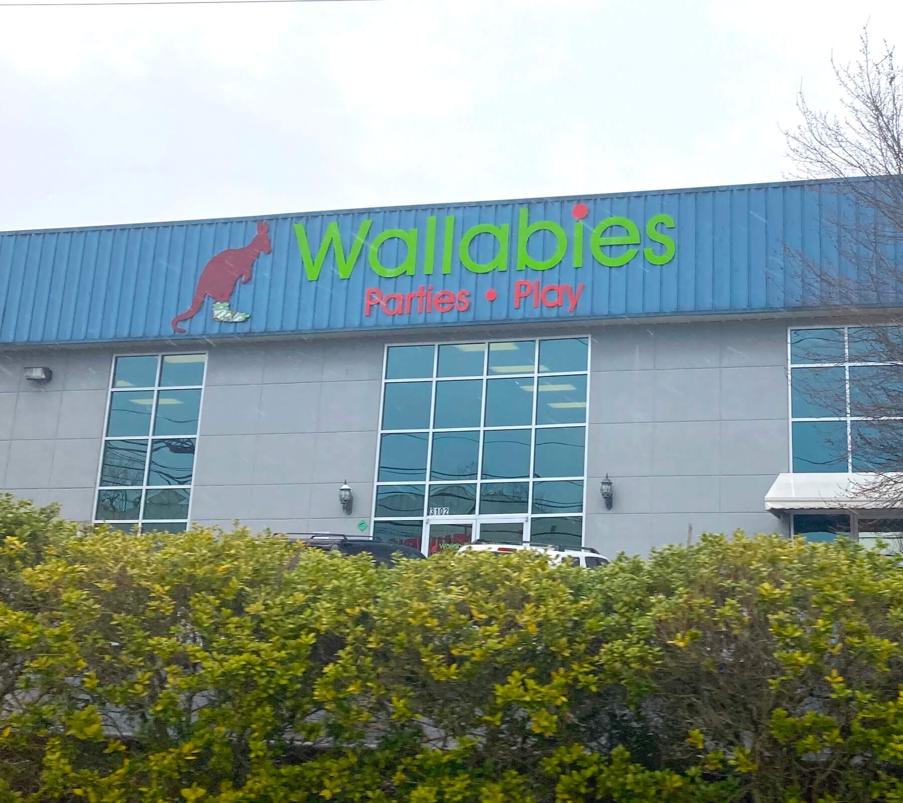 Wallabies Parties & Play - Entertainment, Parties, & Outings - Johnson ...