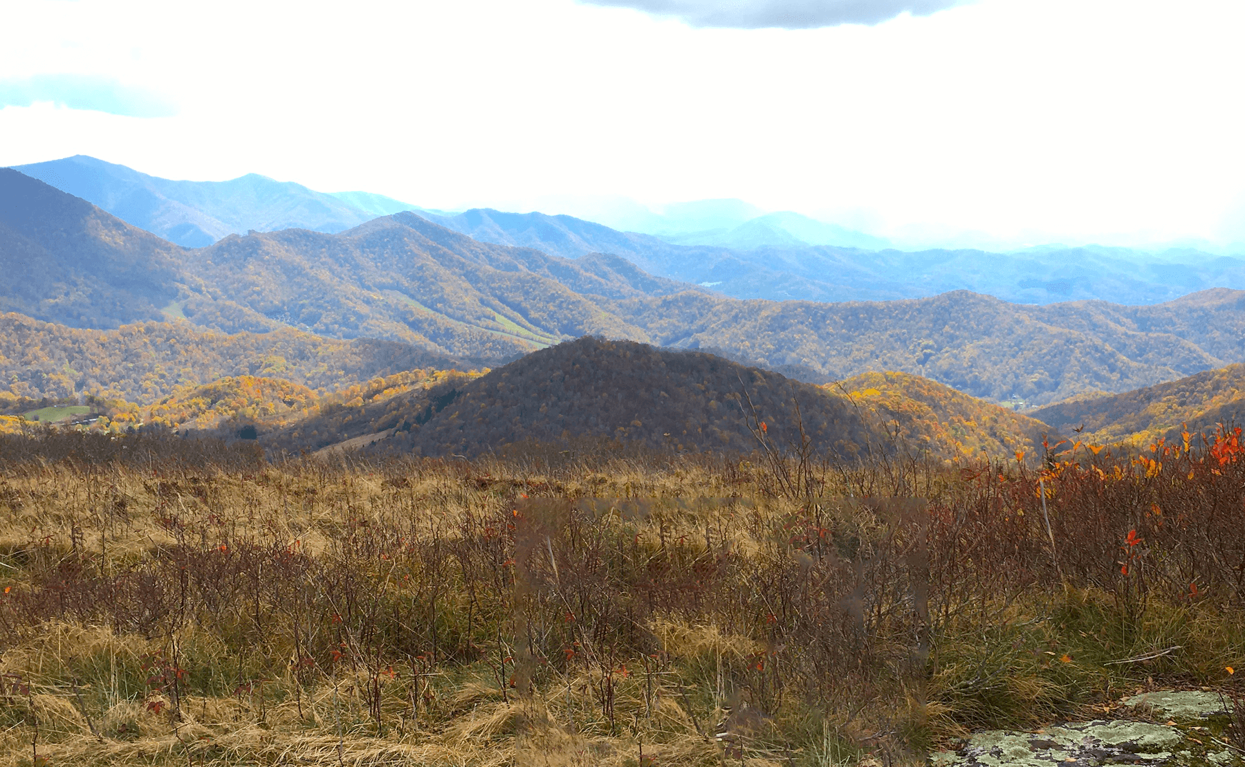 Roan Mountain State Park - Outdoor Activities and Parks - Roan Mountain, TN