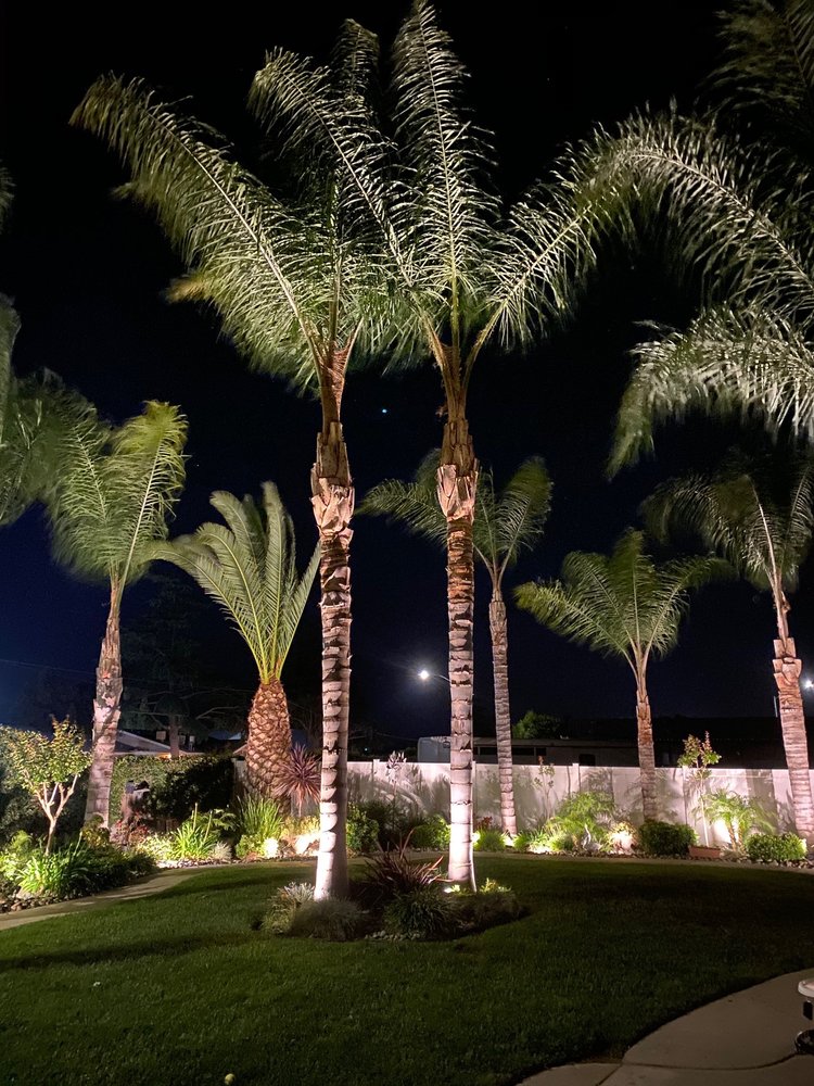 Central Valley Landscape & Tree - Landscaping & Lawn Services - Ceres, CA